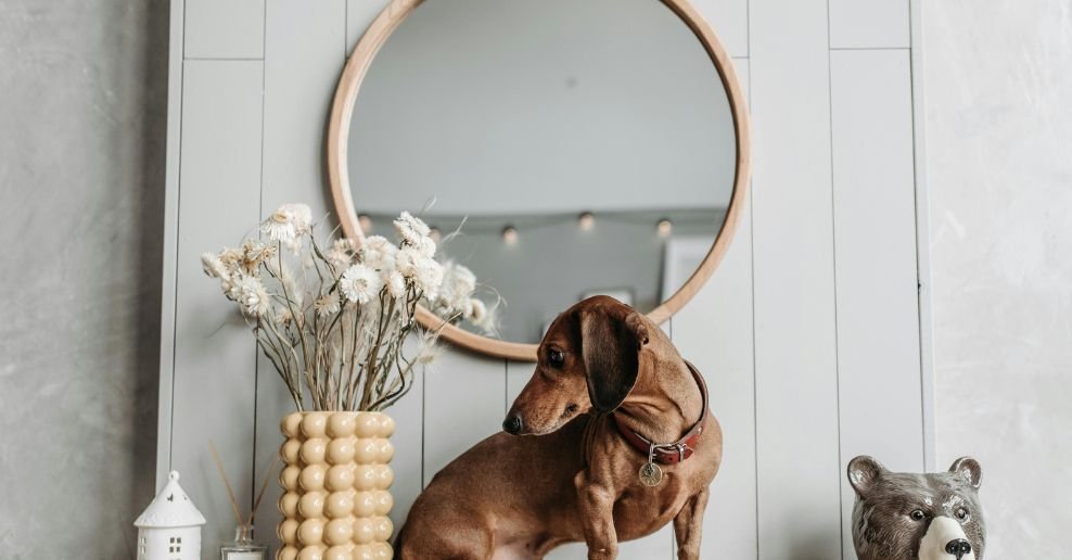 Descubre las Diferencias: ¿Qué es un Espejo Plano y un Espejo Esférico ...